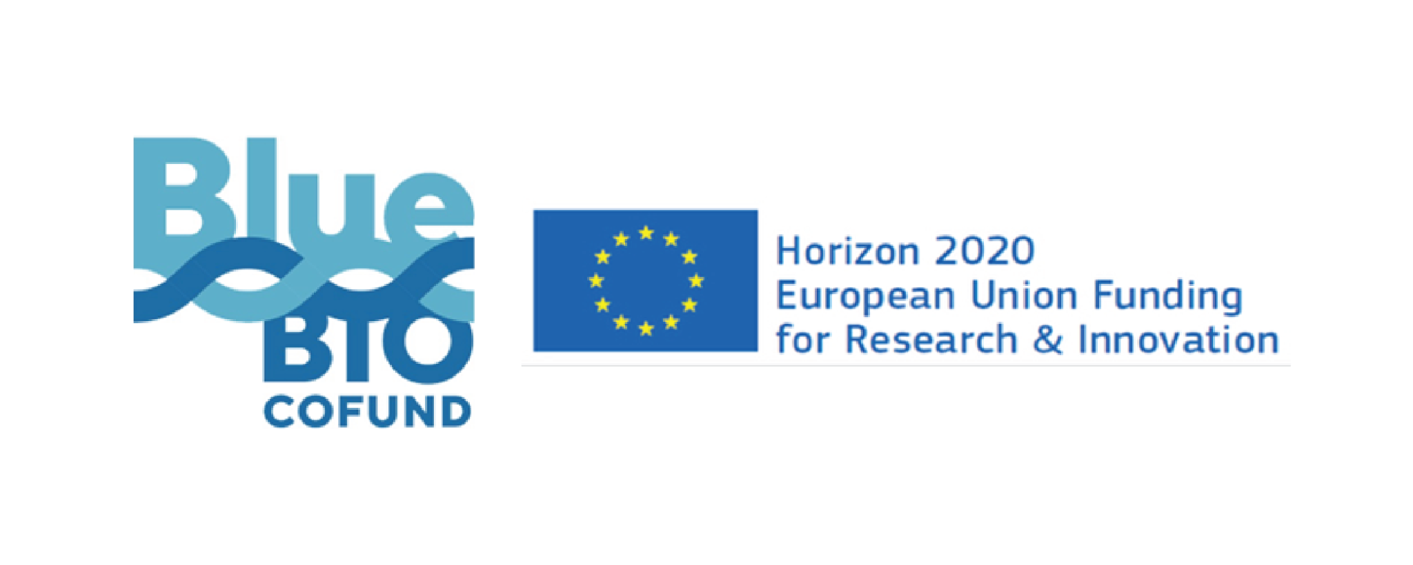 Project Team – BIORAS_SHRIMP