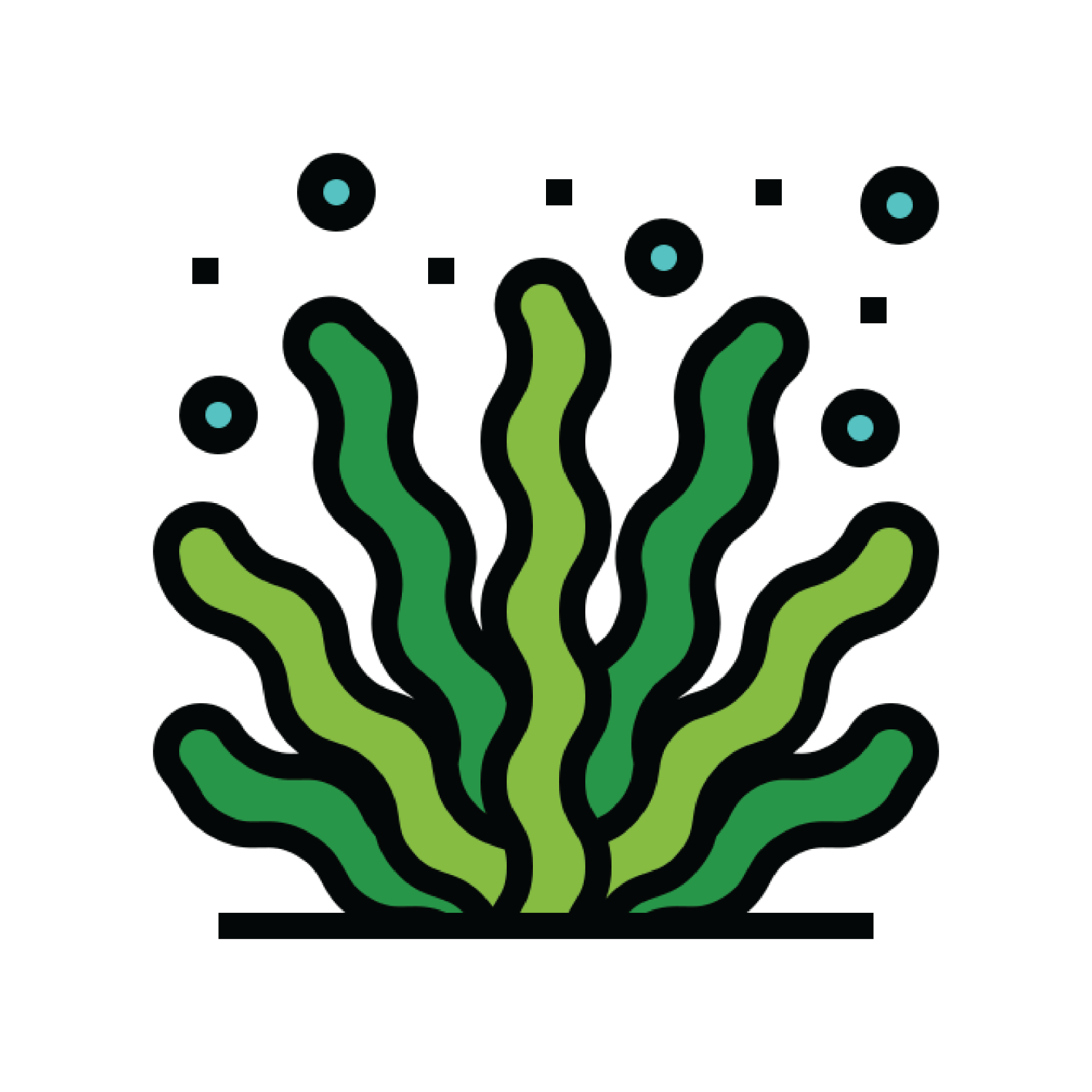 BIORAS_SHRIMP – BIORAS_SHRIMP